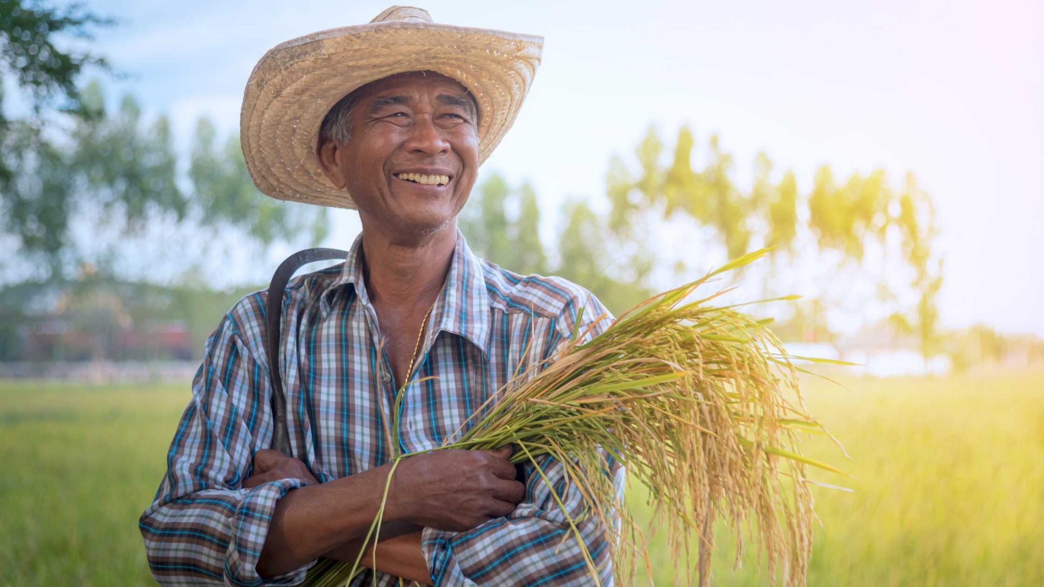 KCC Scheme : Get a Loan at Just 4% Interest Rate, Who Can Apply ...